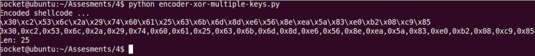 Shellcoding Linux x86 – Custom Encoder – Assignment 4 | Happy Hacking!